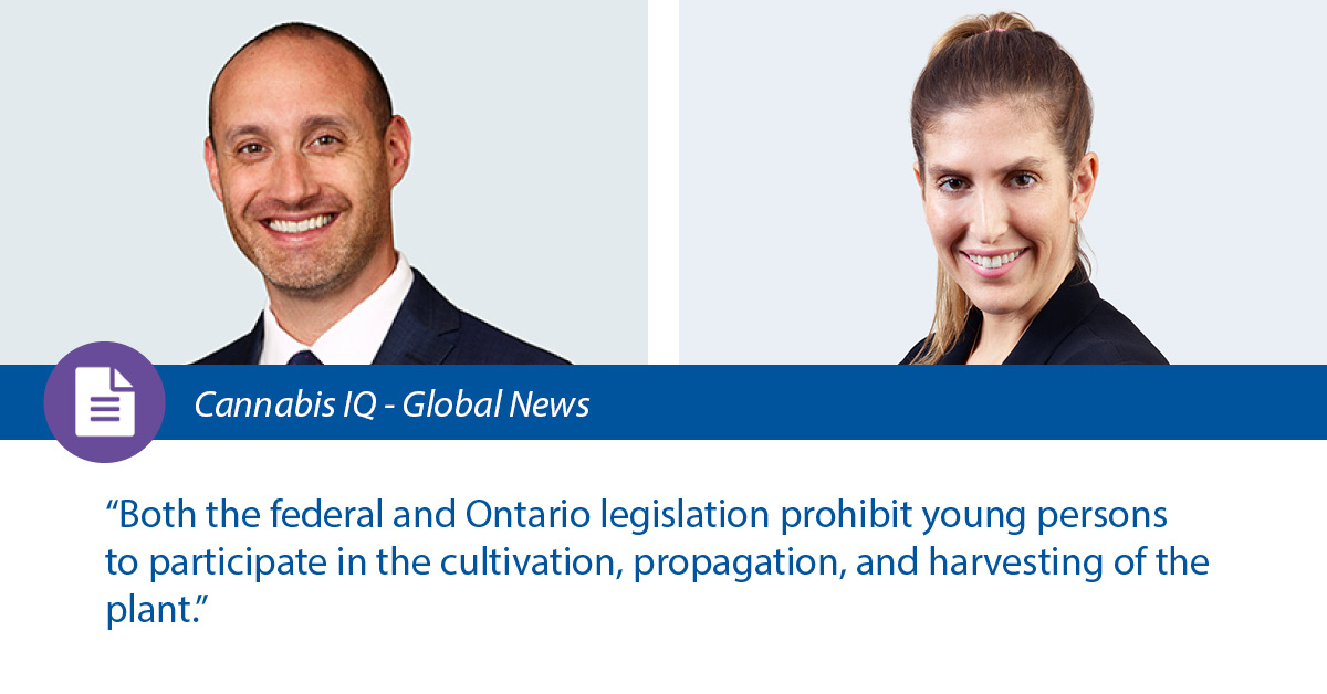 Matt Maurer and Carrie Levitt speak to Cannabis IQ about young people ...